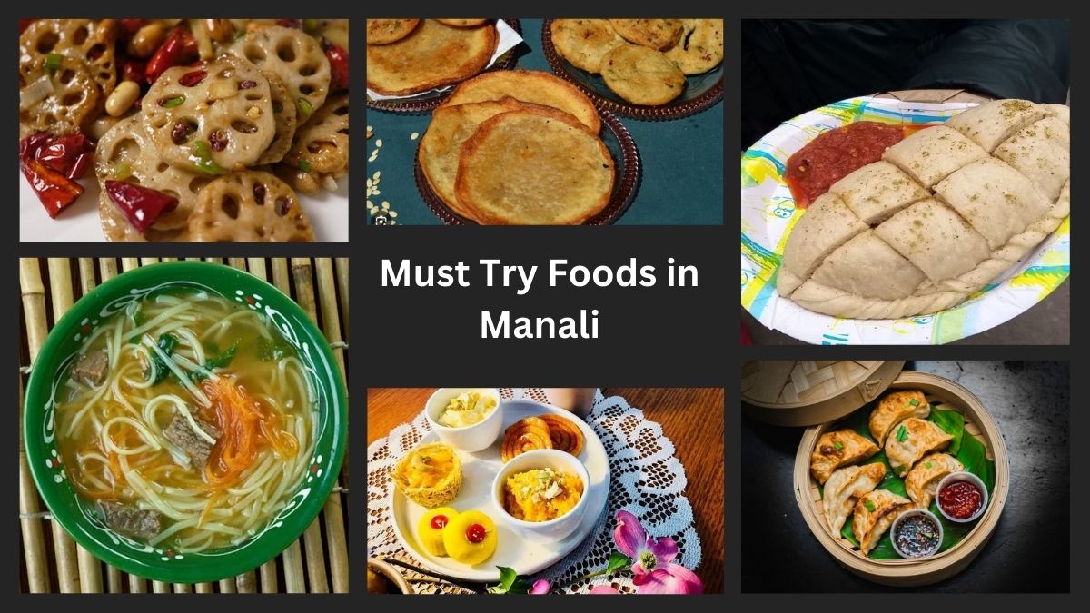 Quick Travel Guide for Manali to plan an Ultimate Trip